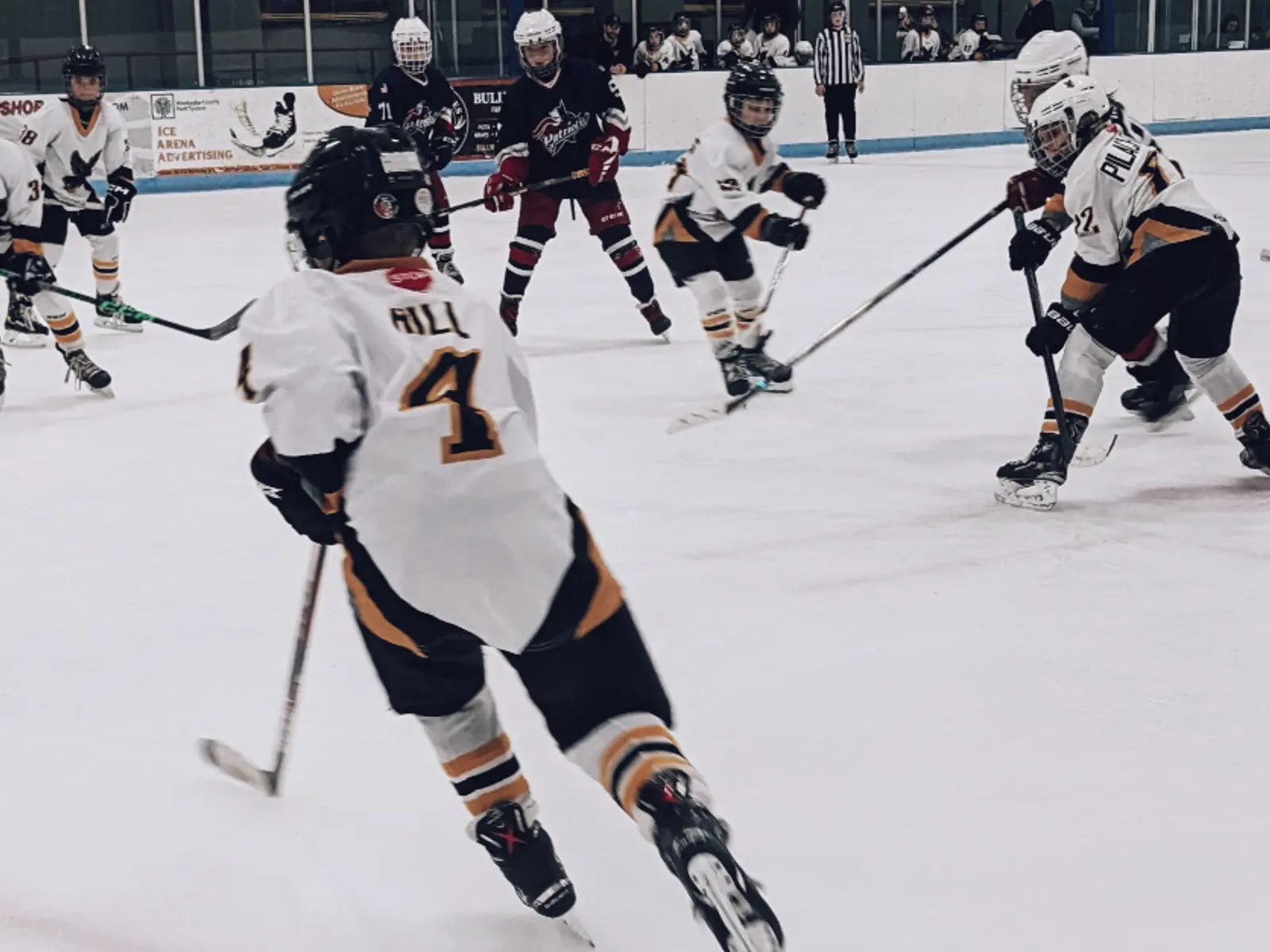 Eble Park Ice Arena