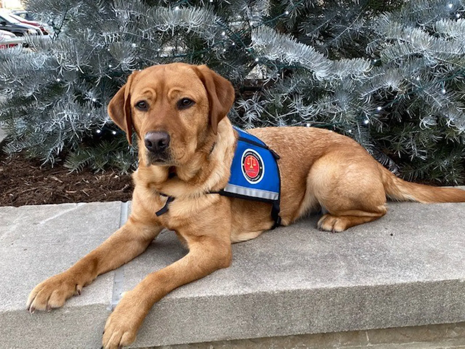 Victim Witness Assistance | Waukesha County