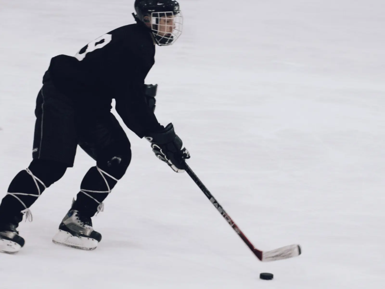 Eble Park Ice Arena