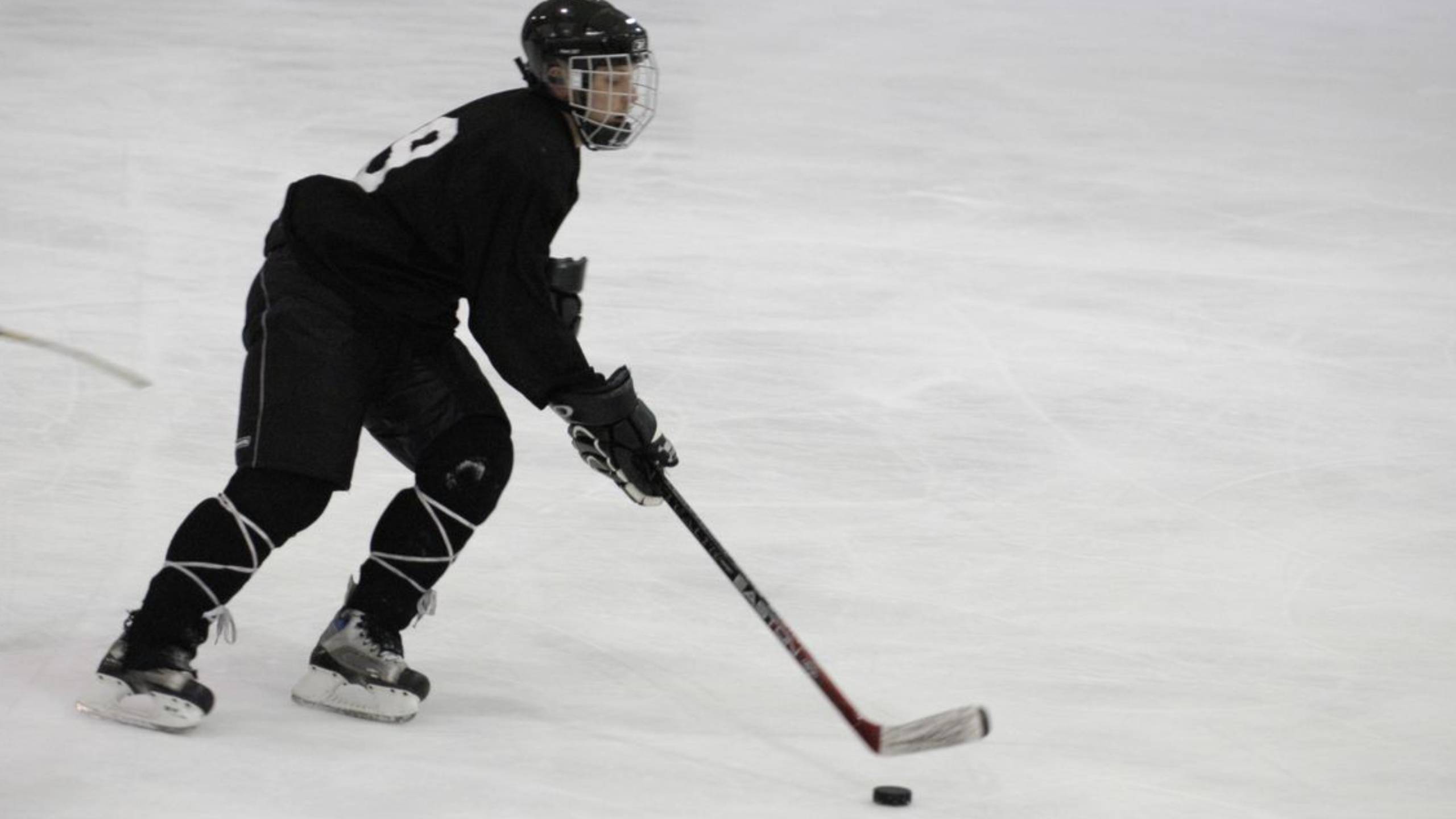 Open Hockey Activities | Waukesha County Parks