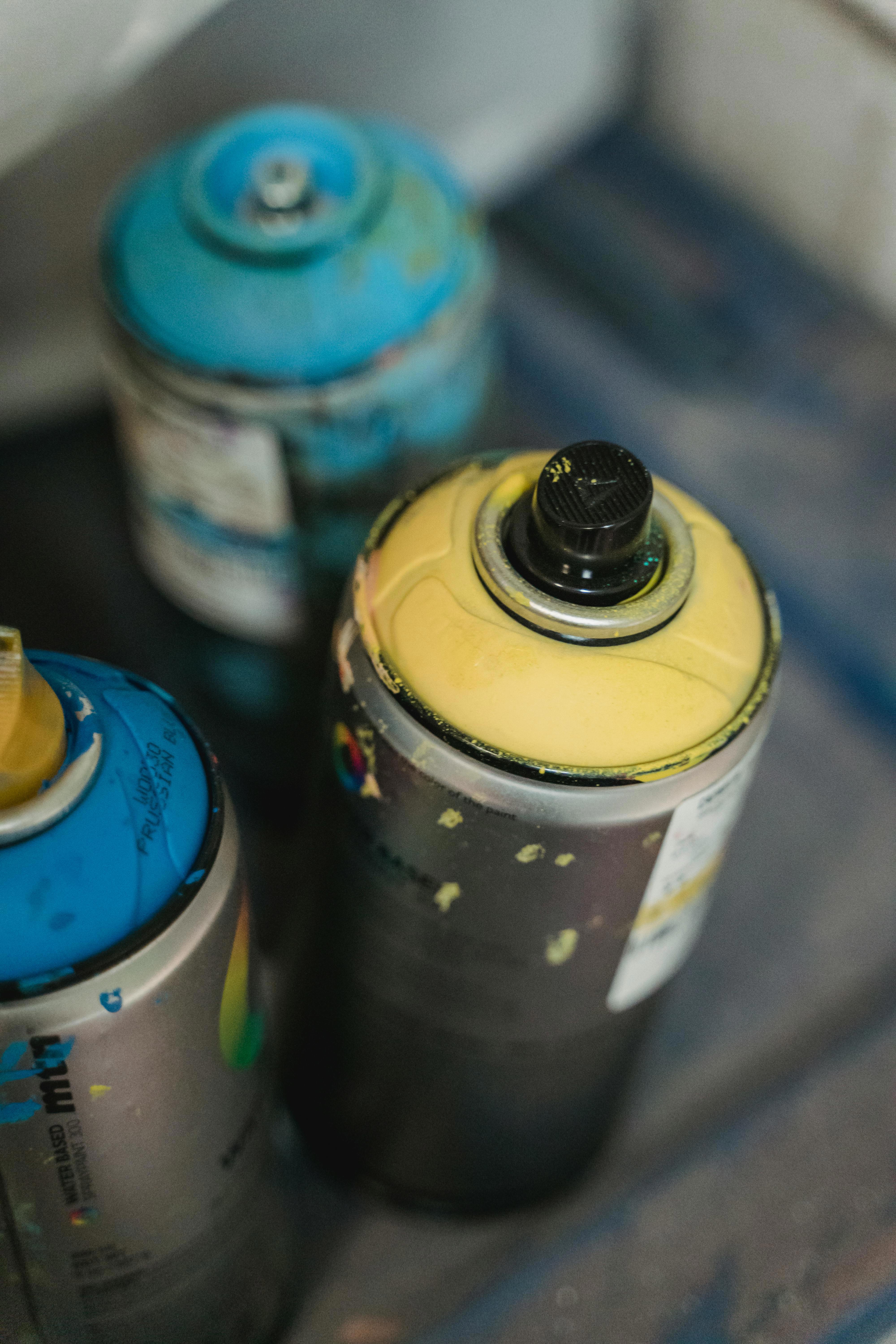 Paint Disposal Options | Waukesha County