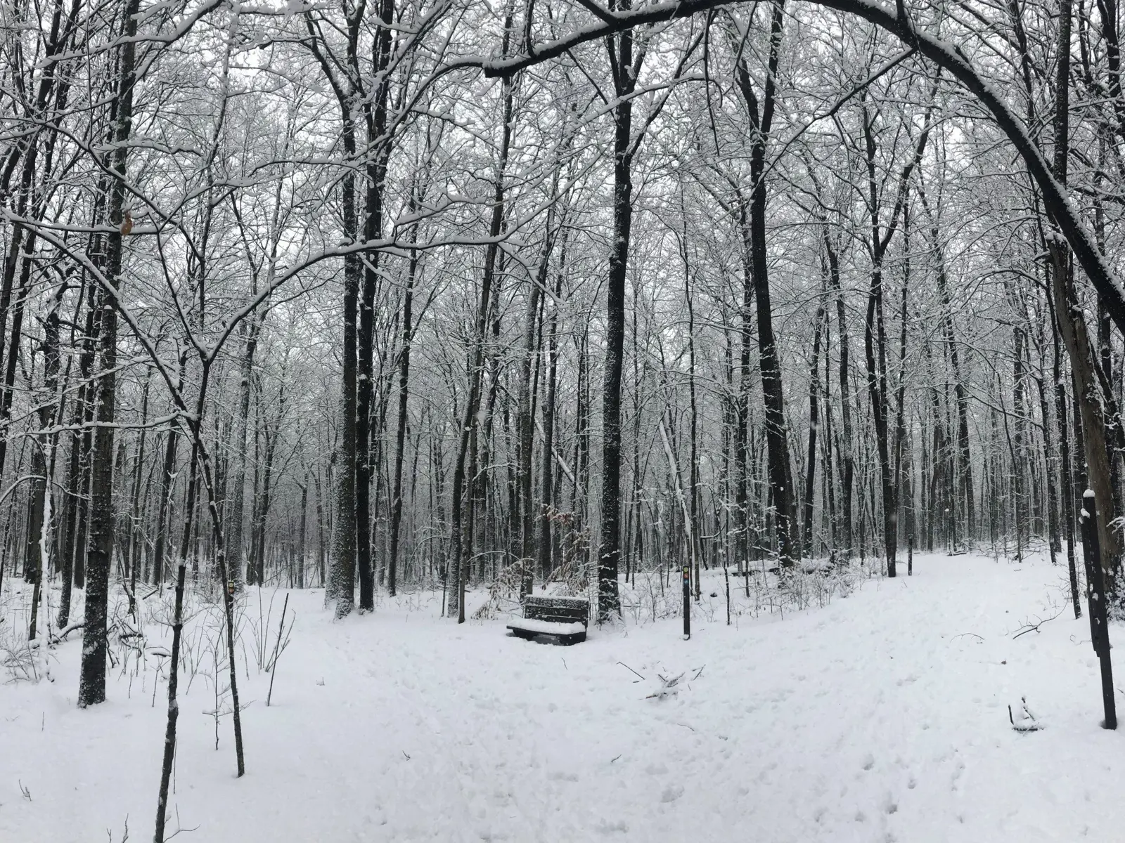 Muskego Park | Waukesha County